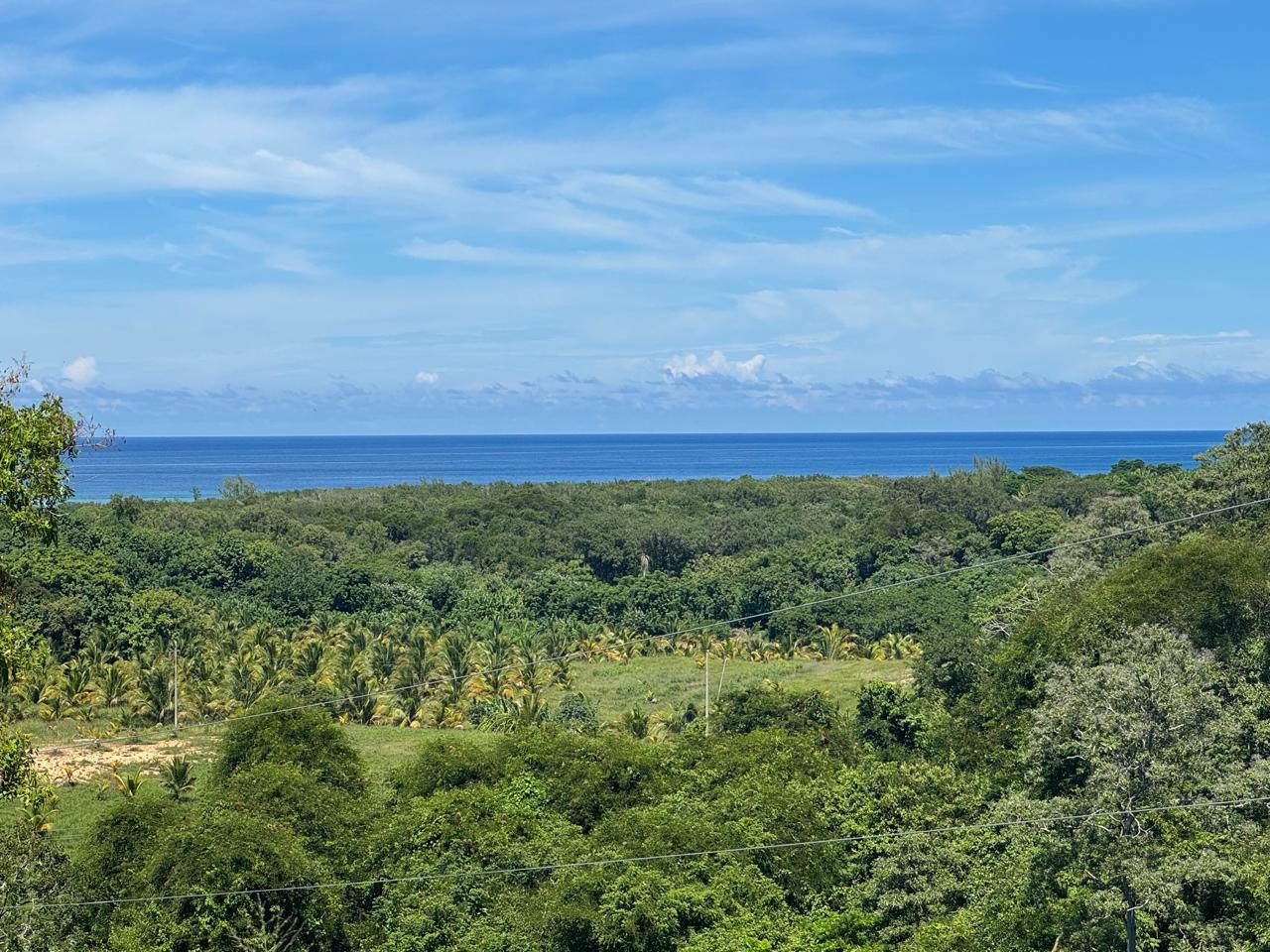 Margarita View Land – Two Prime Ocean-View Parcels Overlooking Roatan’s ...